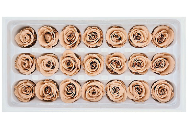 Wholesale Preserved Roses | 21 Roses In A Box - Nude Pink Colour – Lee ...