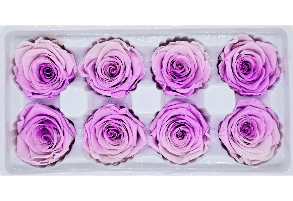 Wholesale Preserved Roses | 8 Roses In A Box - Gradient Purple Colour ...