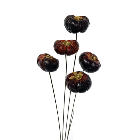 Dried Mini Pumpkin (5 Stalks) – Lee Flora Wholesale