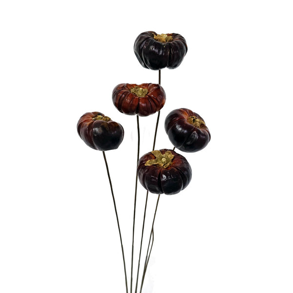 Dried Mini Pumpkin (5 Stalks) – Lee Flora Wholesale