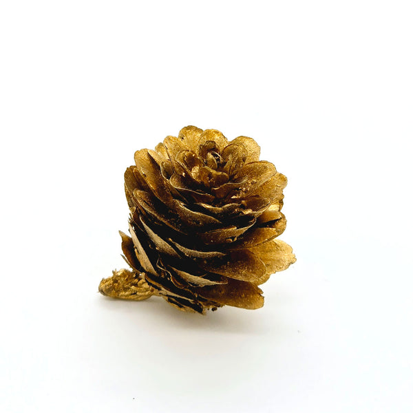 Small Dried Pine Cone (Gold) – Lee Flora Wholesale